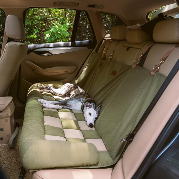 Siège Auto Sécurisé pour Chien Grande Taille avec Repose-Tête - Style